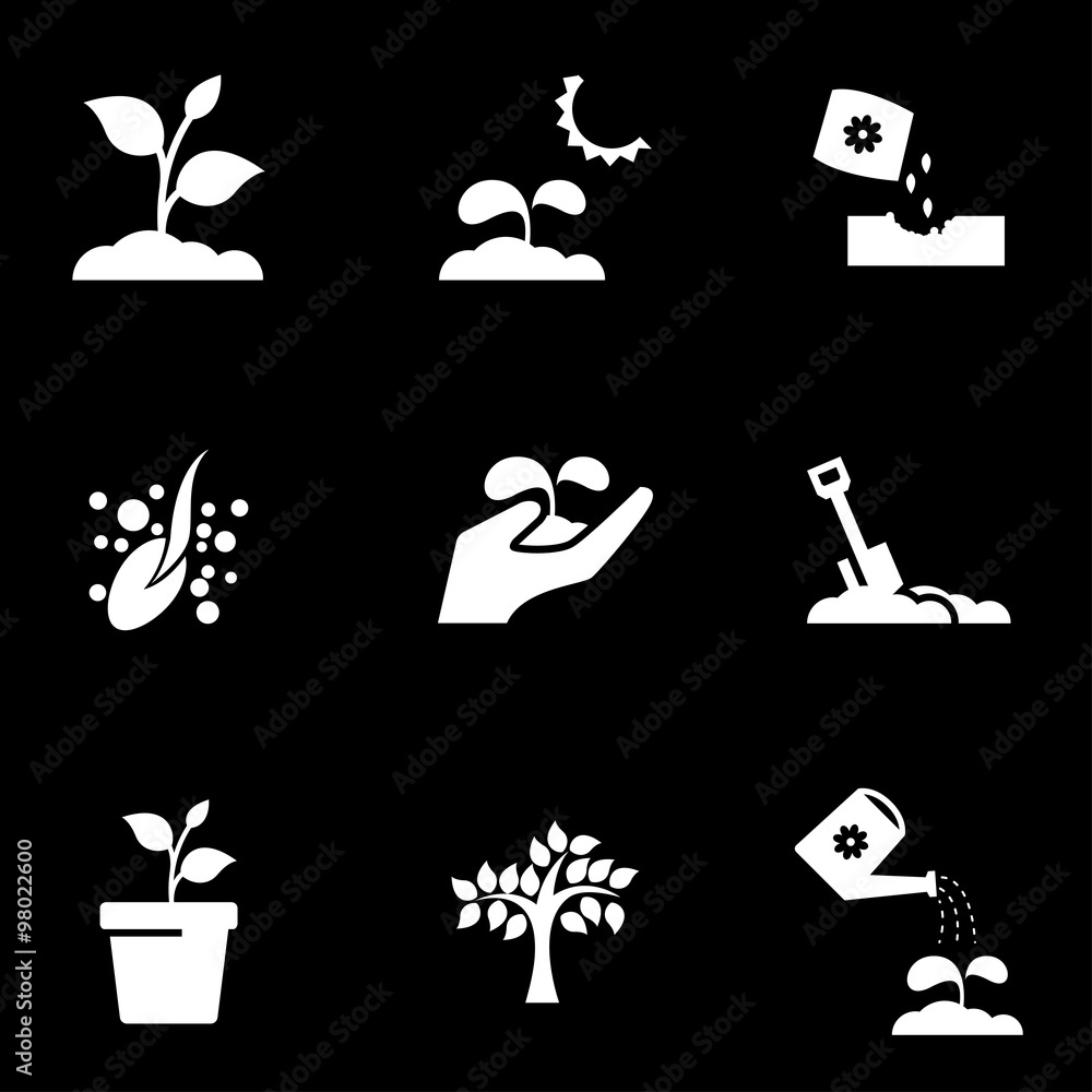 Vector white growing icon set. Growing Icon Object, Growing Icon ...