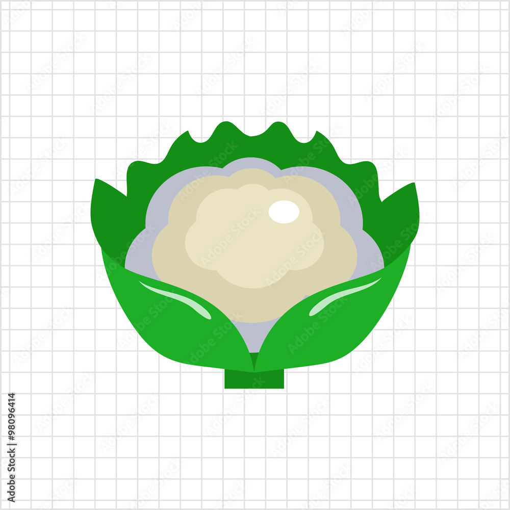 Cauliflower curd icon Stock Vector | Adobe Stock