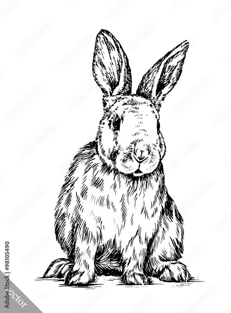brush painting ink draw isolated rabbit illustration Stock Vector ...