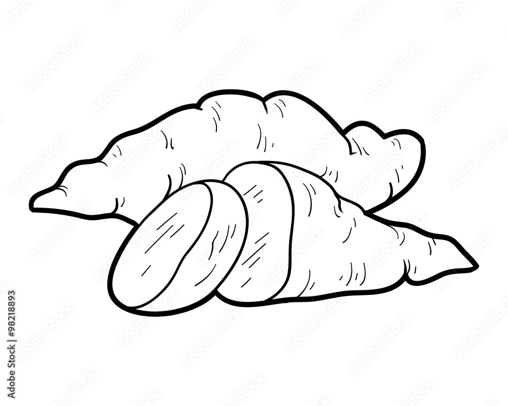 Coloring book for children: fruits and vegetables (yam) Stock Vector ...