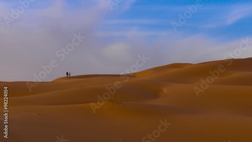 Seif Dunes In Sahara Desert