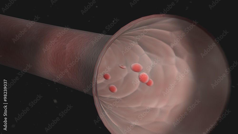 Endoscopic view of flowing red blood cells in a vein Stock Illustration ...