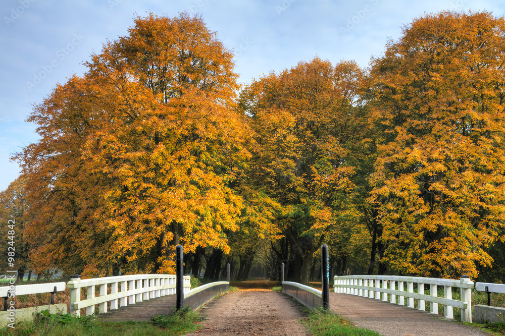 Entrance to the forest in het Amsterdamse bos (Amsterdam wood) in the ...