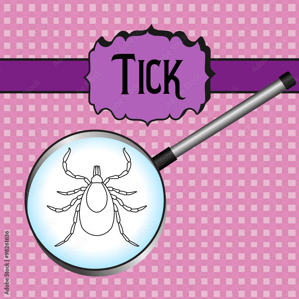 Tick parasite. Sketch of Tick. Mite. Tick isolated on white background ...