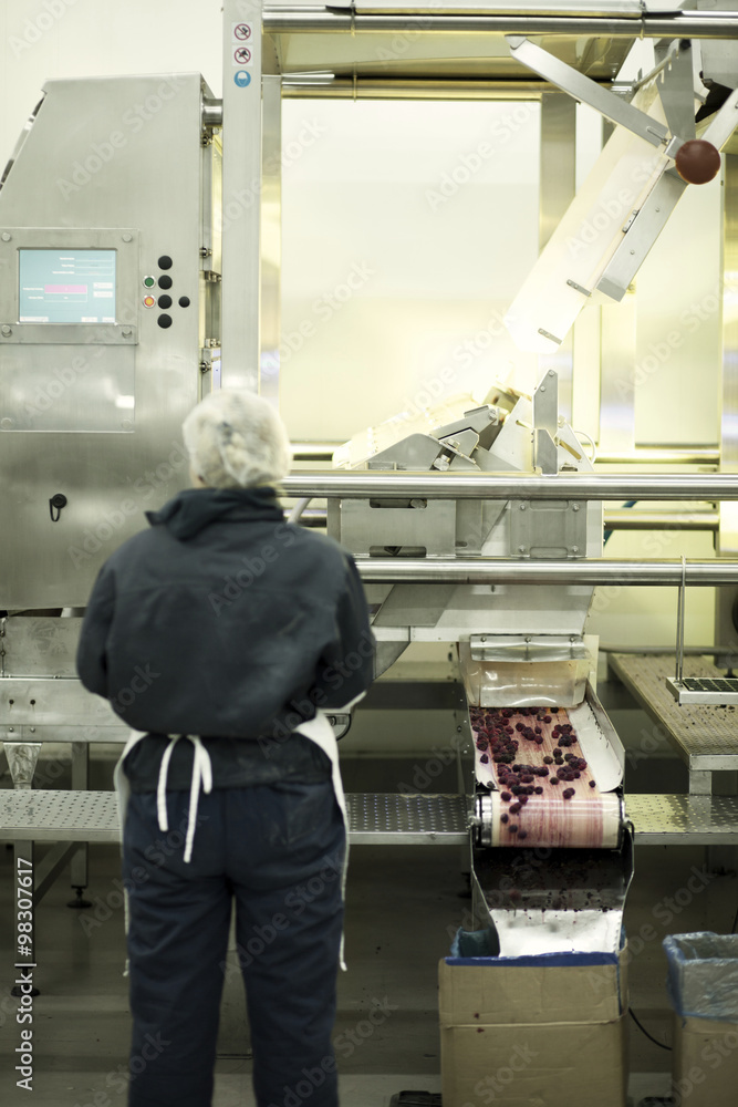 Frozen food factory worker standing in front of huge robotic line for ...