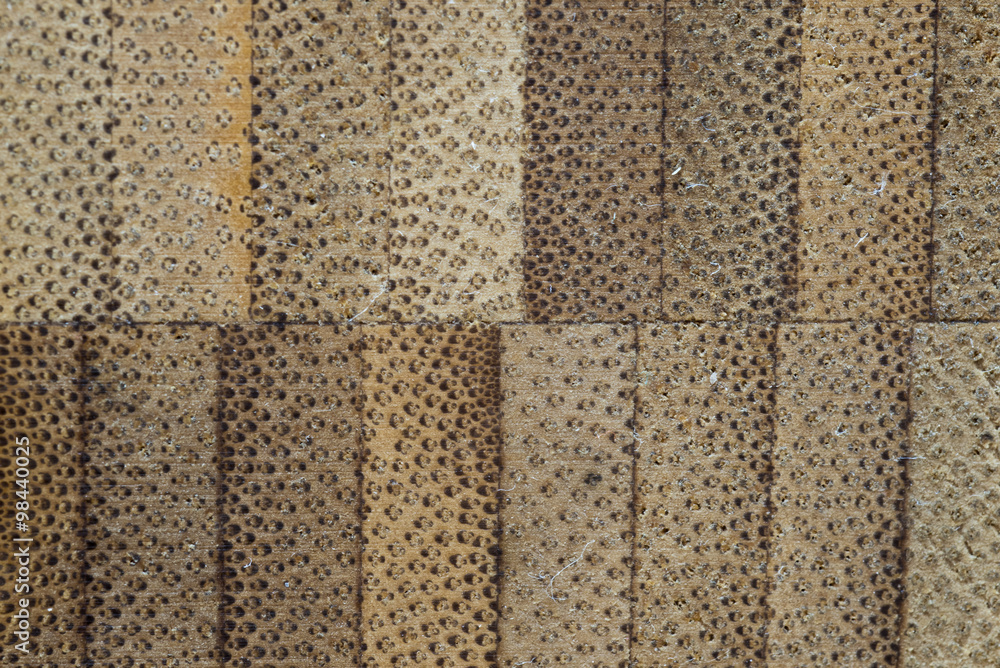 Exotic texture pattern of bamboo cross section filled with hardening ...