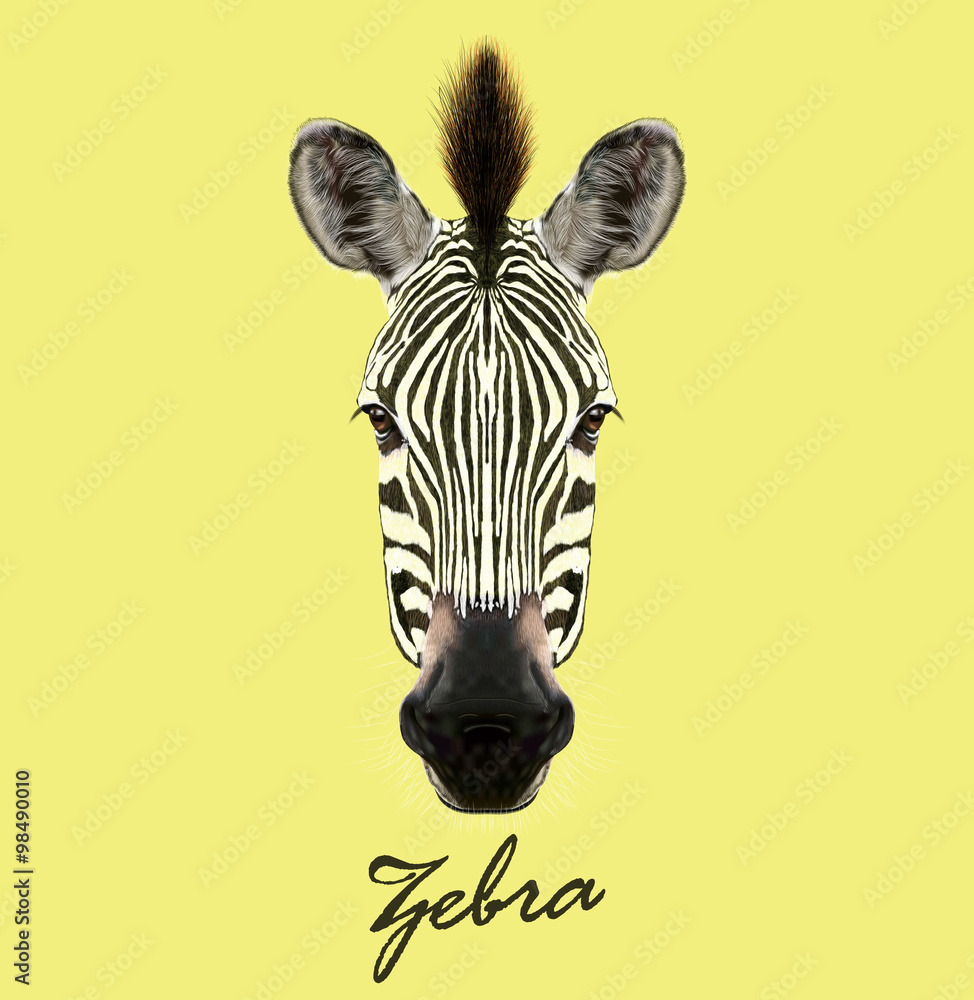 Zebra wild animal face. Vector cute African safari black and white ...