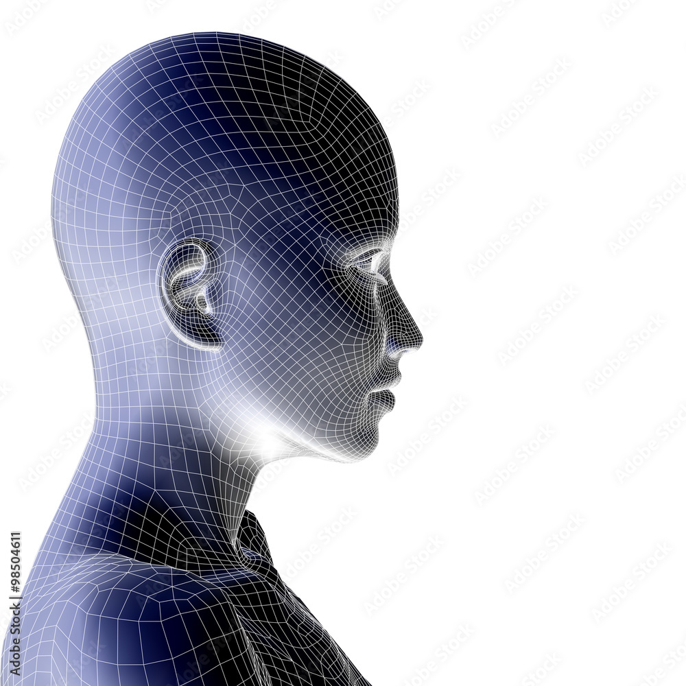 Conceptual 3D wireframe human female or woman face or head Stock ...