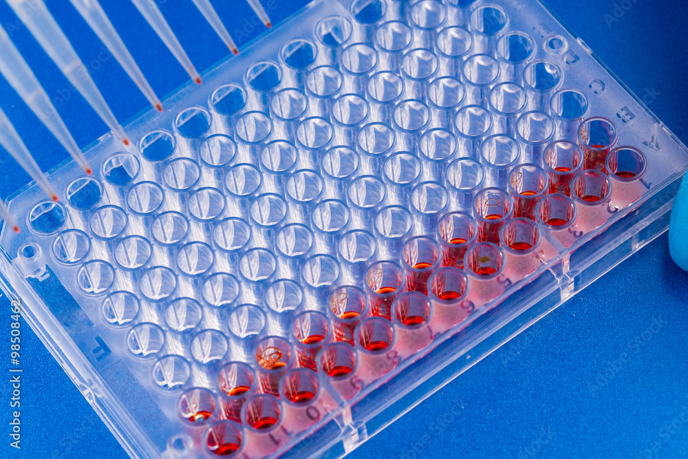 96 well plate for PCR processing, microbiological laboratory Stock ...