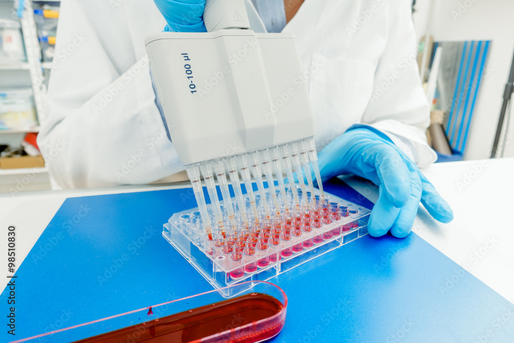 96 well plate for PCR processing, microbiological laboratory Stock ...