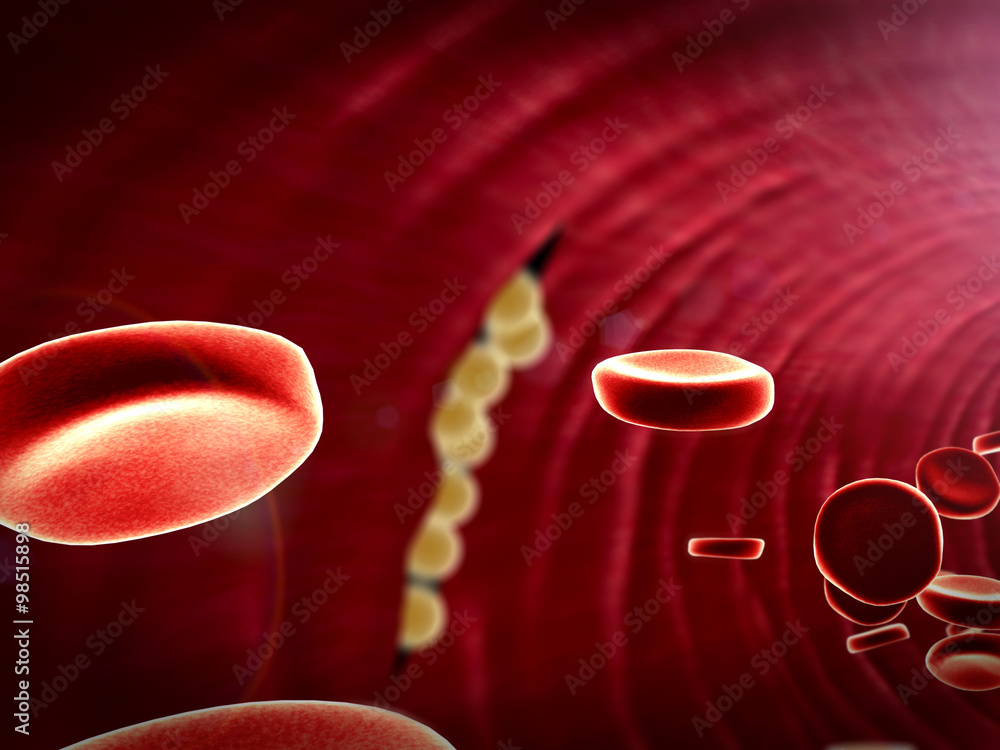 fat cell in the blood, inside the blood vessel, High quality 3d render ...