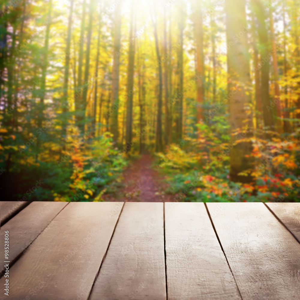 Beautiful nature background with wooden floor Stock Photo | Adobe Stock