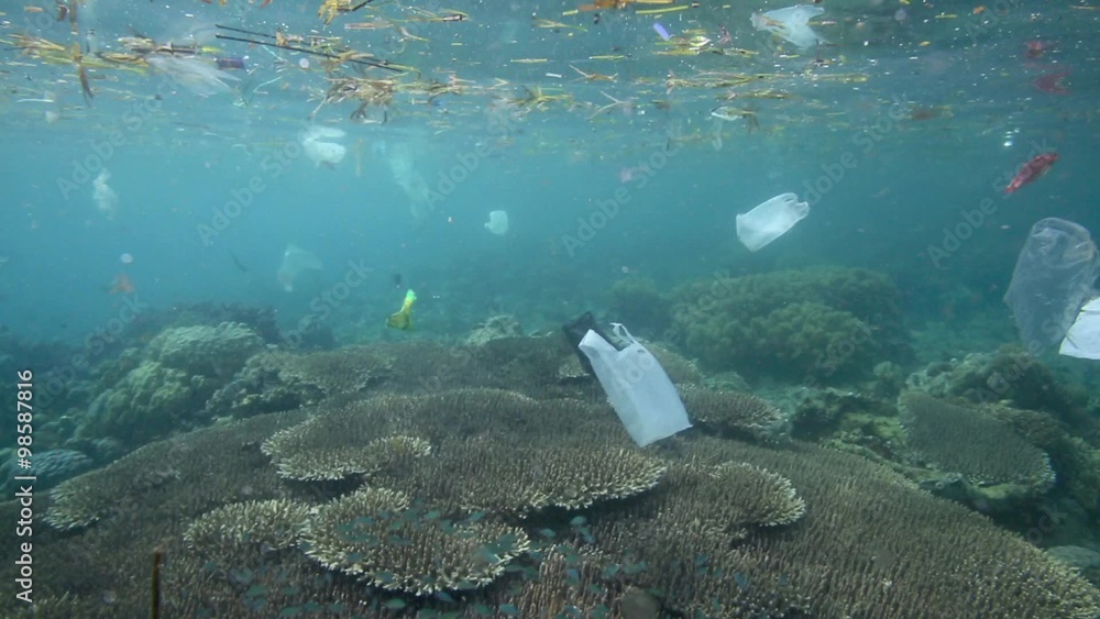 Plastic bags and other trash floating underwater over fragile coral ...