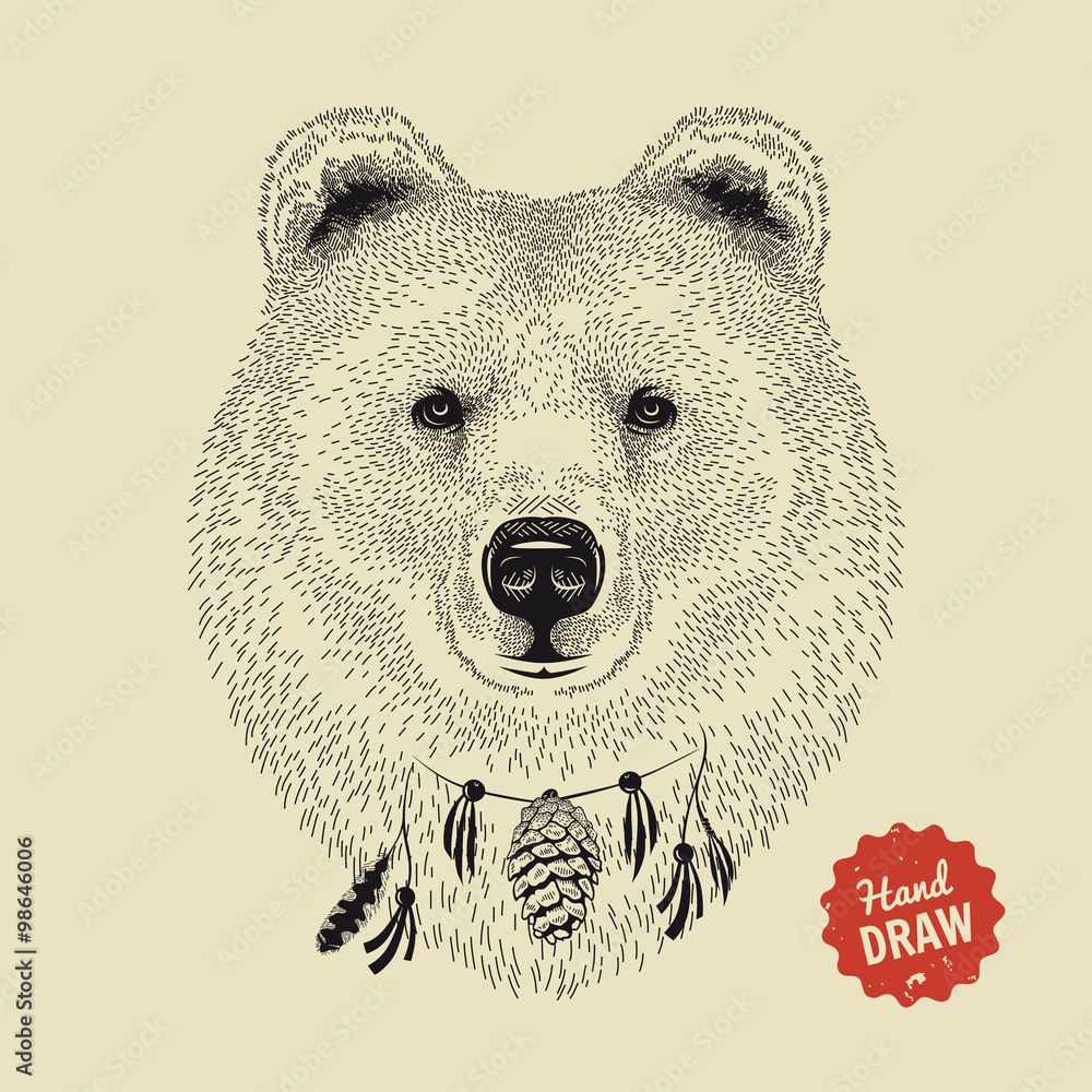 Vector sketch of a bear's face. Bear head, front view. Hand drawn ...