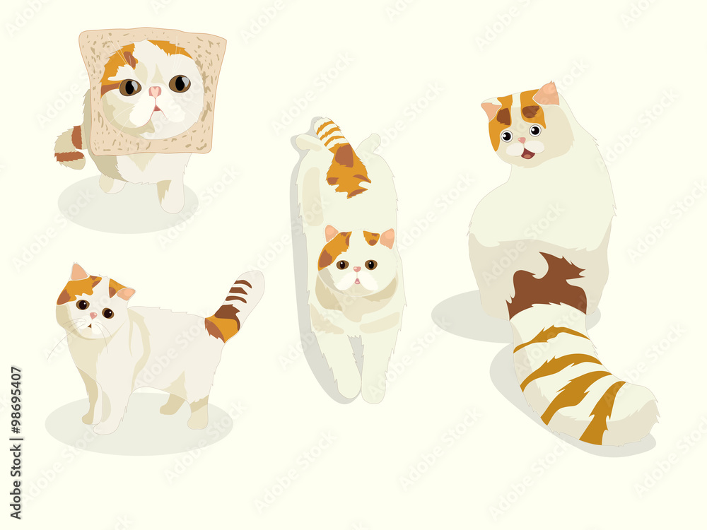 cats. stylized pets set in white. Cute tabbi van cat Stock Vector ...