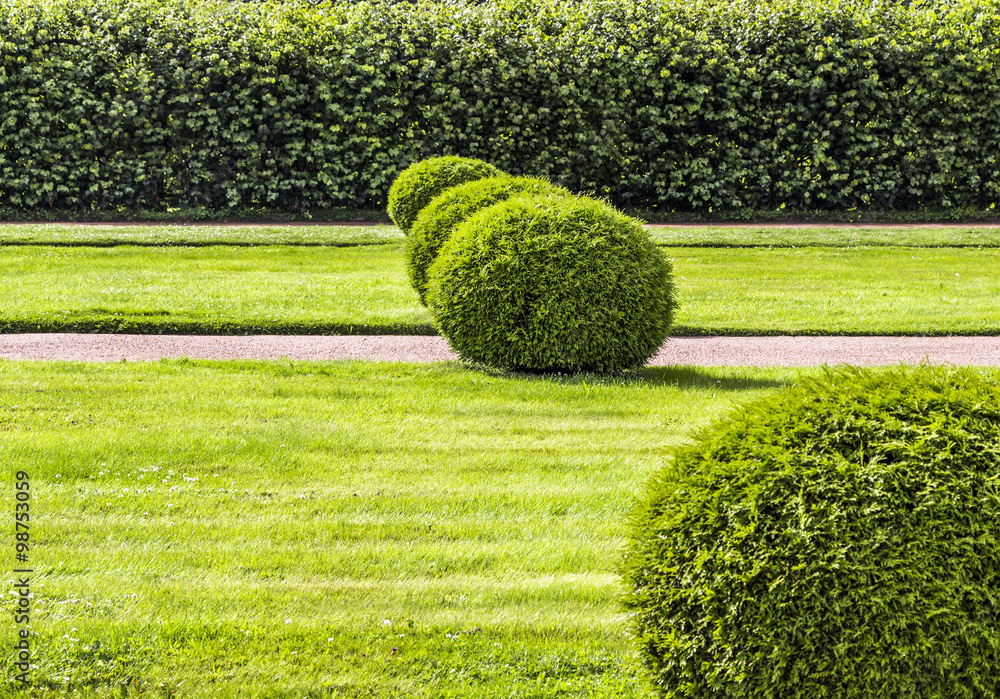 Beautifully manicured garden bushes Stock Photo | Adobe Stock
