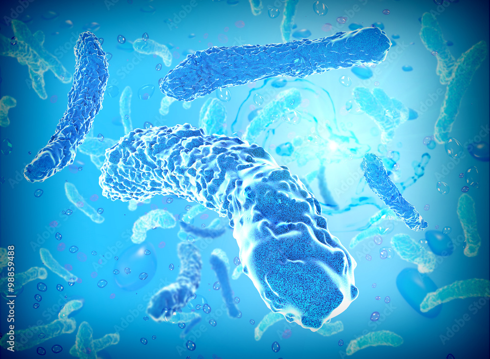 microscopic view of legionella bacteria Stock Illustration | Adobe Stock