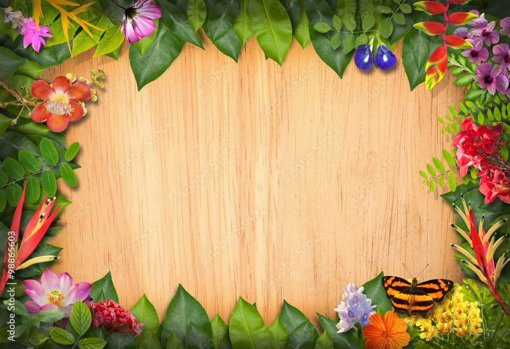 Nature Borders And Frames