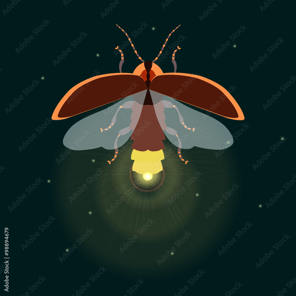 Firefly bug logo design template. Firefly. Flying bug glowworm ...