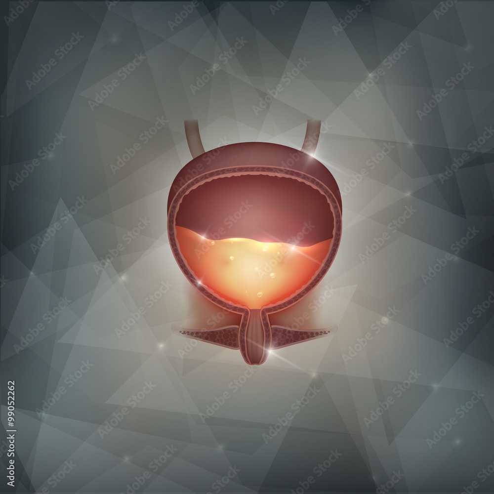 Urinary bladder abstract background Stock Vector | Adobe Stock