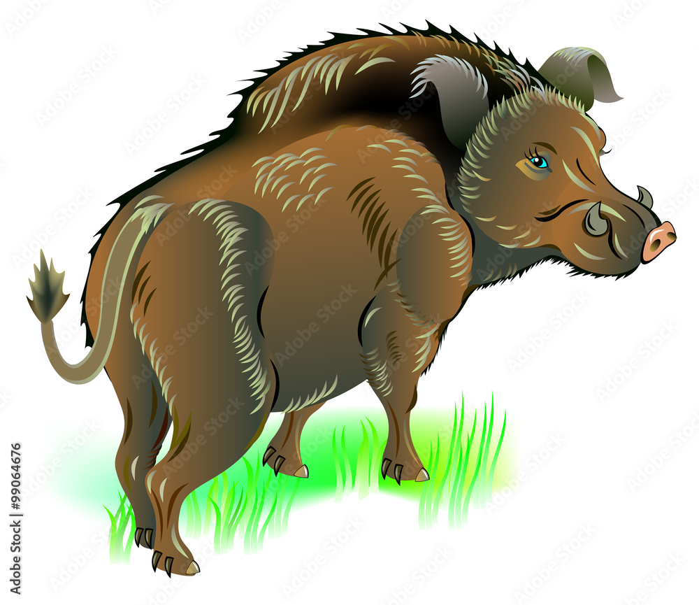 Illustration of wild boar, vector cartoon image Stock Vector | Adobe Stock