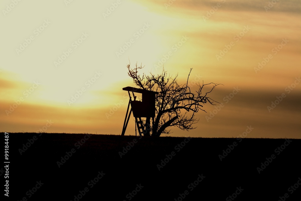 Jagdeinrichtung - Hochsitz im Sonnenuntergang Stock-Foto | Adobe Stock