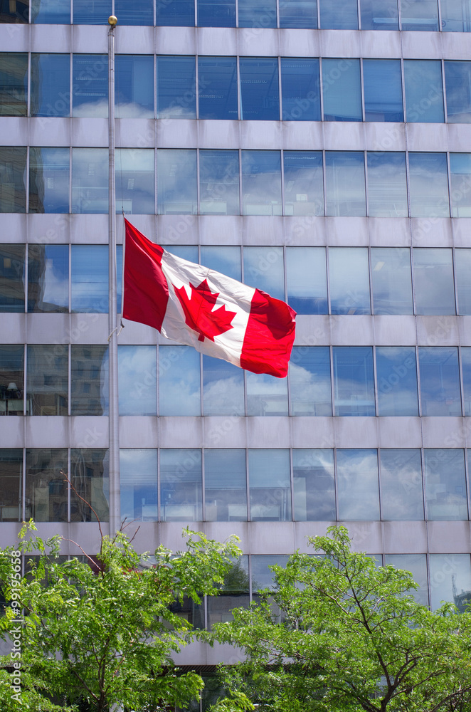 Canadian flag flies at half mast in fromt of government building Stock ...