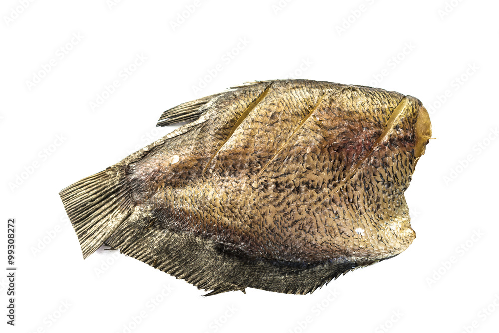 Snake Skin Gourami Fish, Pla Salit (Trichogaster pectoralis) Stock ...