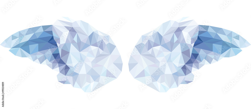 Vector illustration of angel wings in the style of a triangular low ...