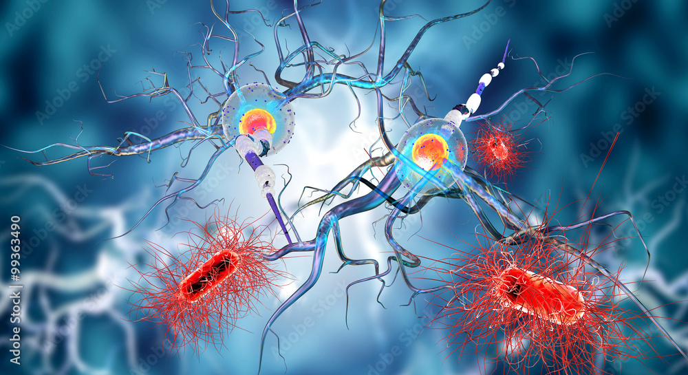 3d illustration of nerve cells, concept for Neurological Diseases ...
