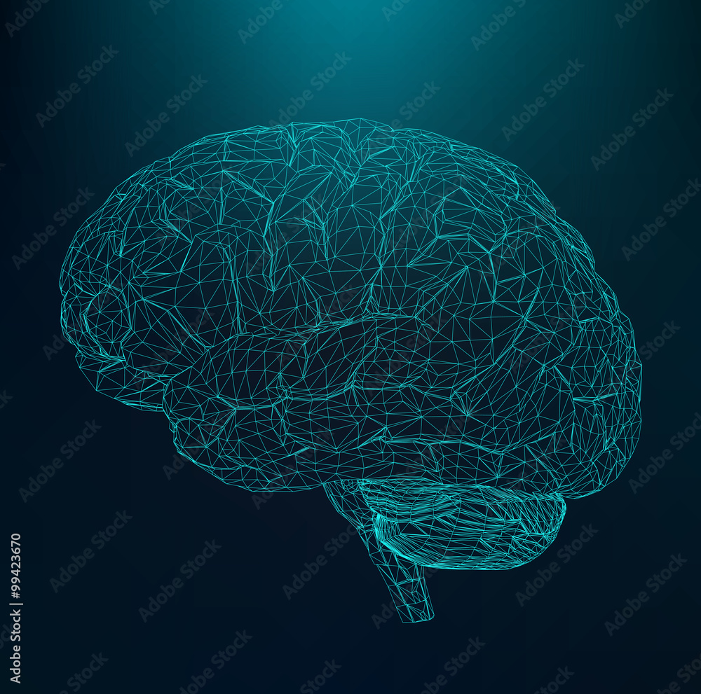 Vector illustration human brain. The structural grid of polygons ...