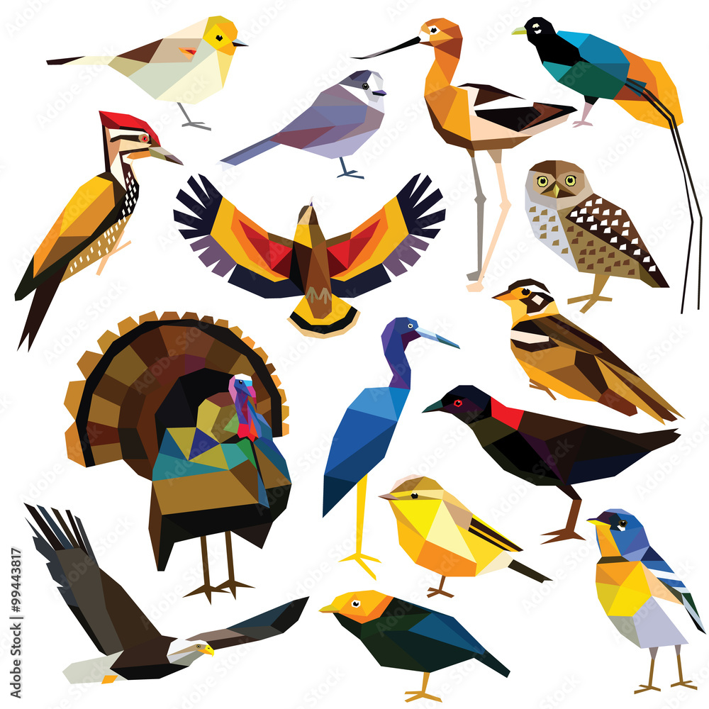 Birds-set colorful birds low poly design isolated on white background ...