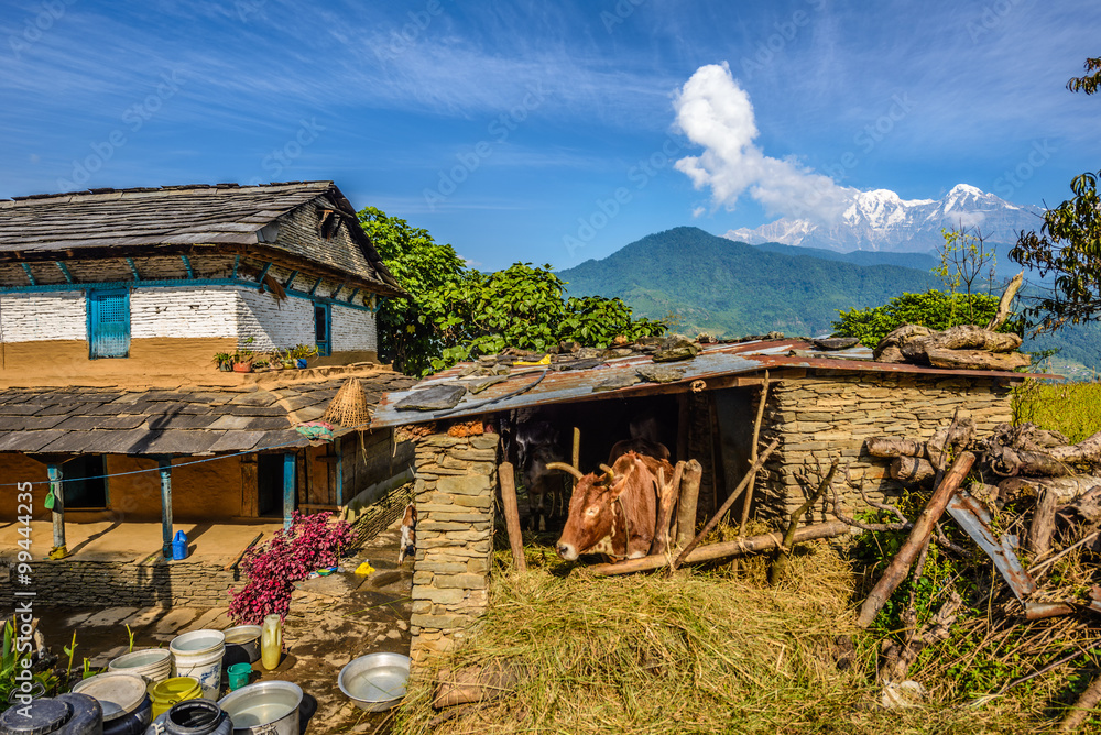 Himalayas mountains, a farmhouse and a stall near Pokhara in Nepal ...