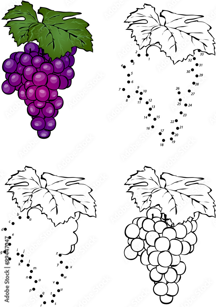 Cartoon grape. Vector illustration. Coloring and dot to dot game Stock ...