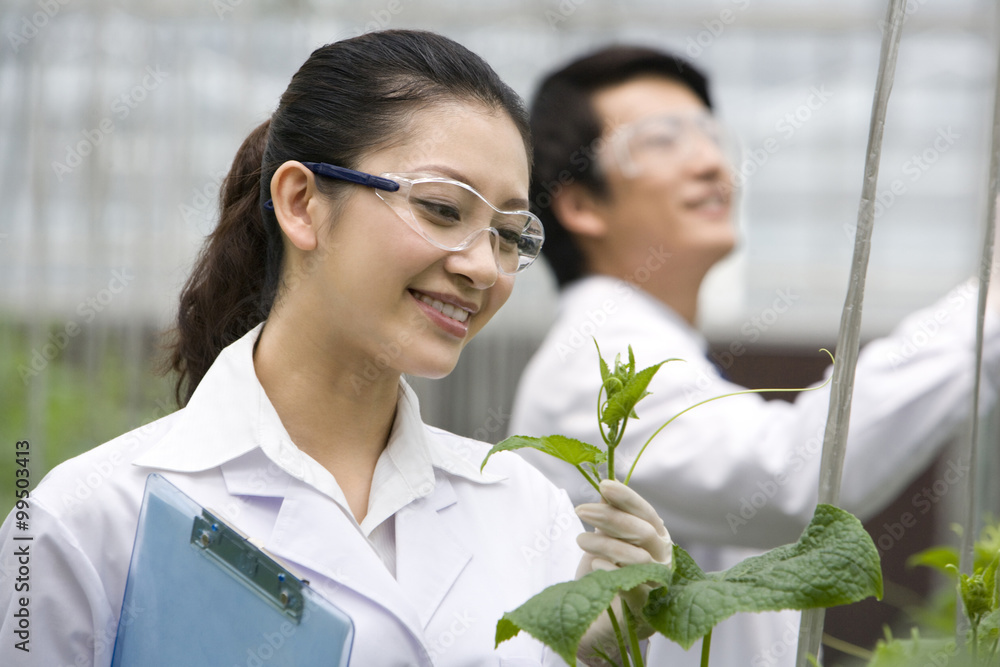 Scientists doing research in modern farm Stock Photo | Adobe Stock