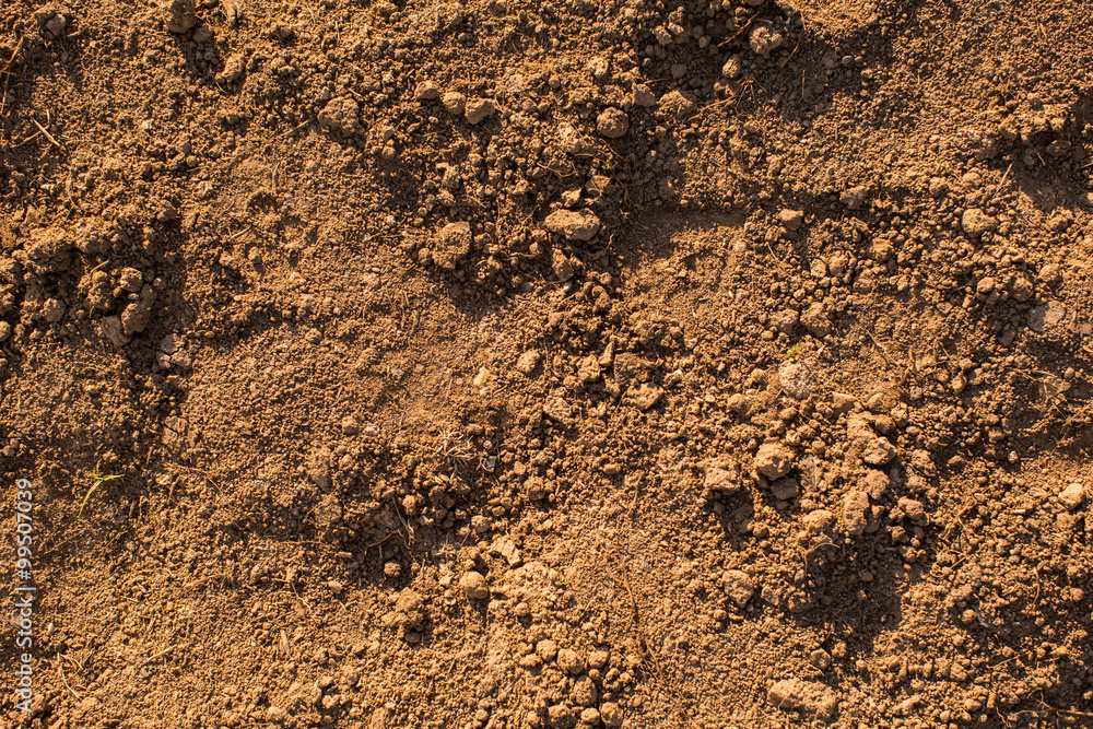 Image of red soil texture Stock Photo | Adobe Stock