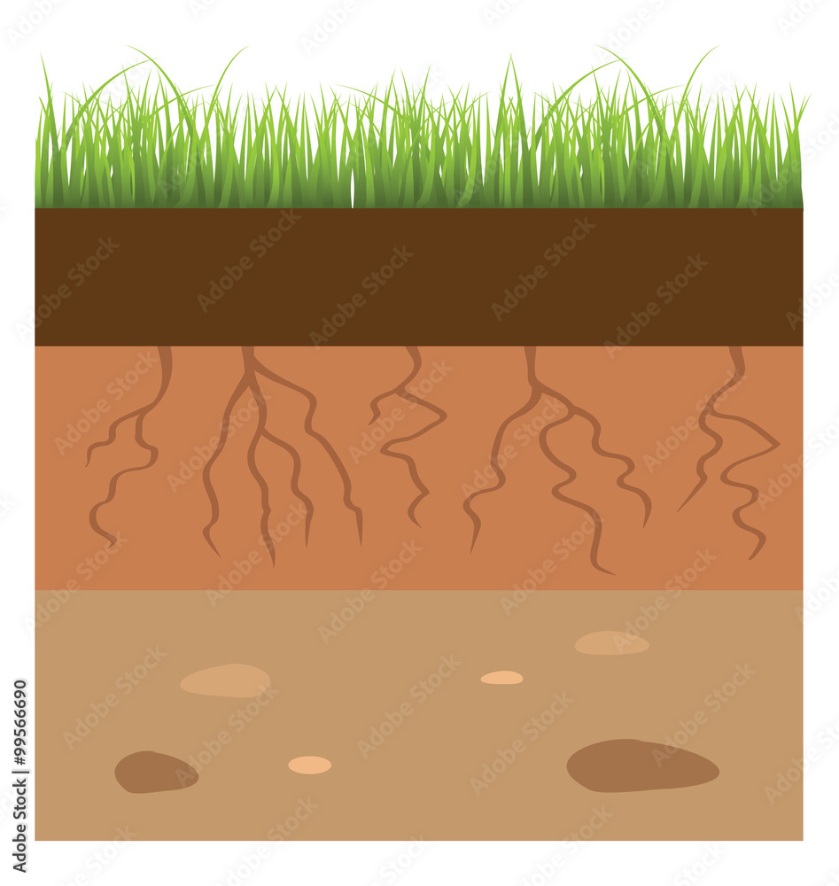 cartoon vector illustration of a soil layer Stock Vector | Adobe Stock