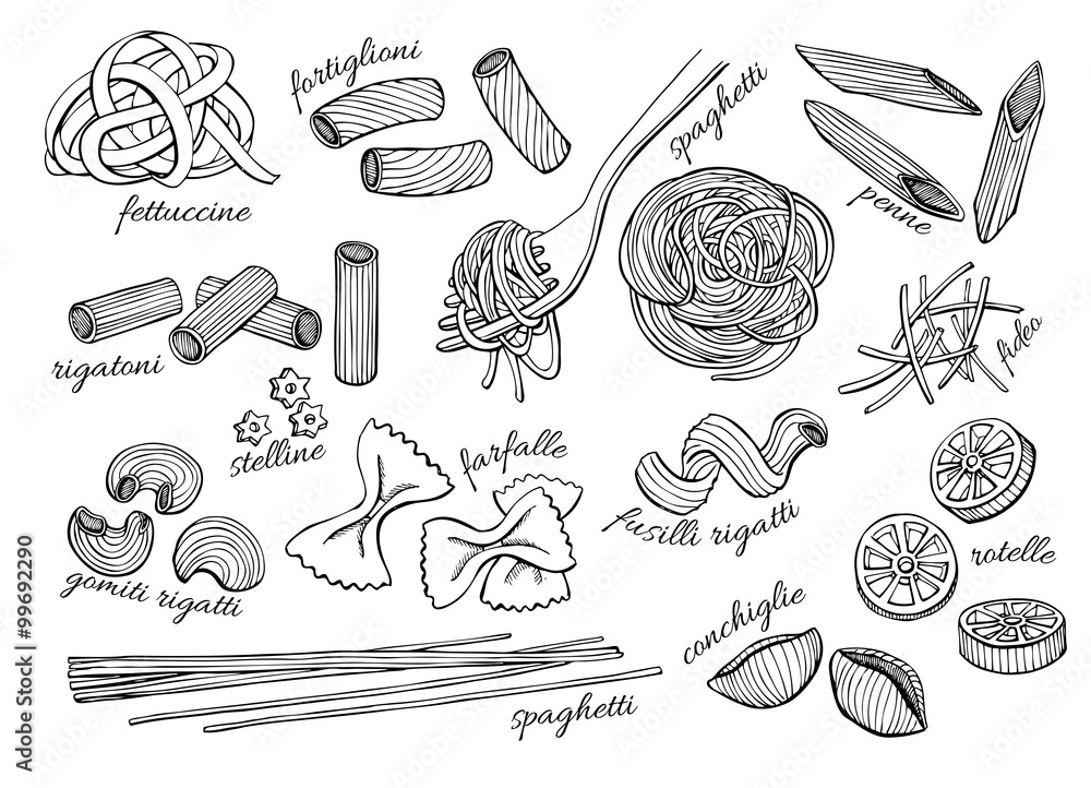 Vector hand drawn pasta set. Vintage line art illustration Stock Vector ...