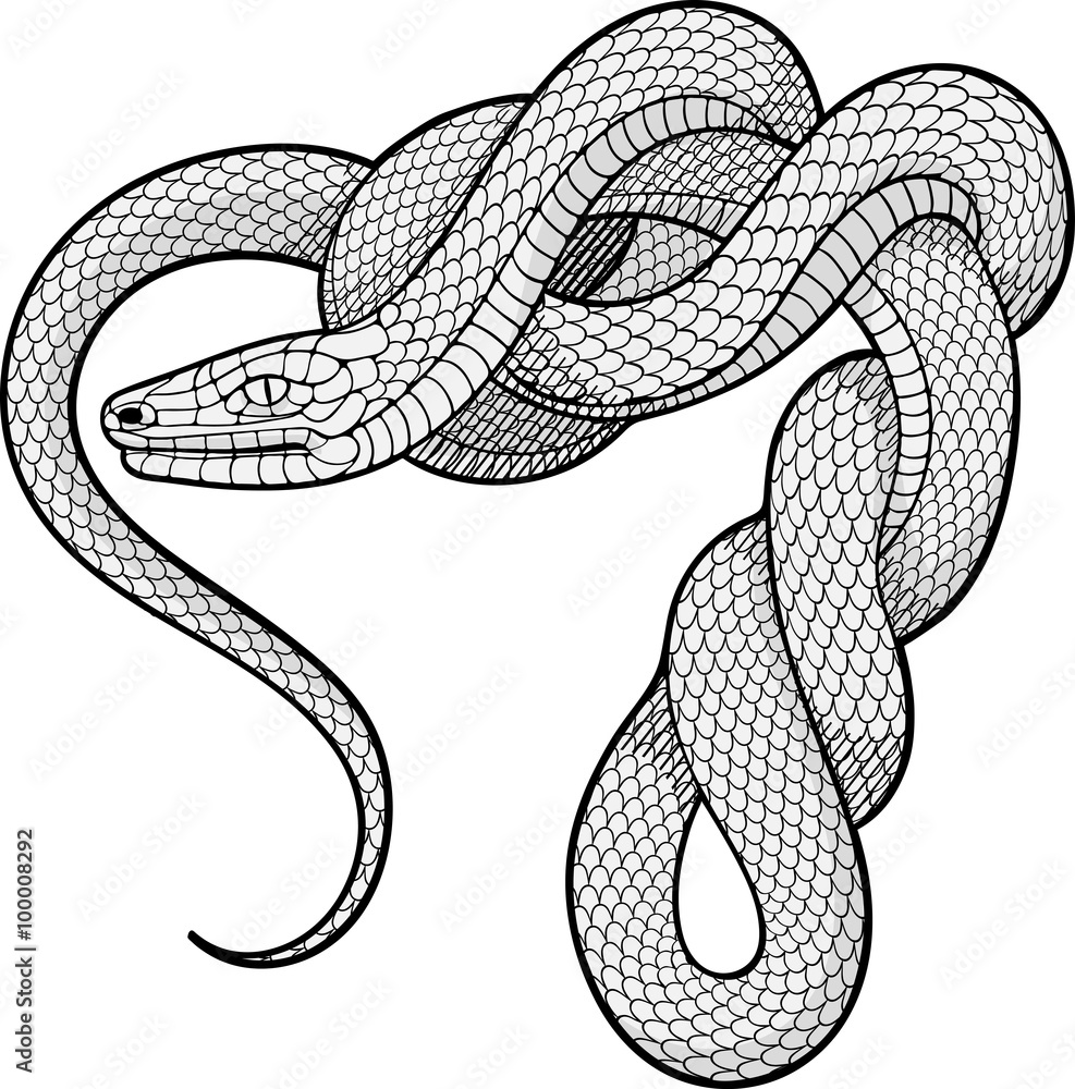 Ttwisted snake. Decorative element vector de Stock | Adobe Stock