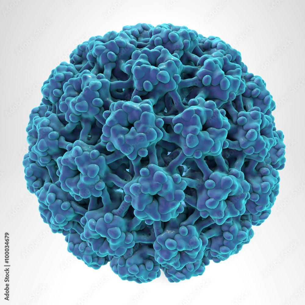 Human Papillomavirus type 16 isolated on white background (HPV) which ...