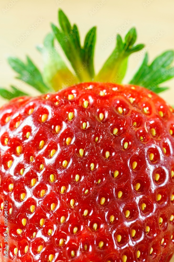Eine Erdbeere - als Nahaufnahme Stock Photo | Adobe Stock
