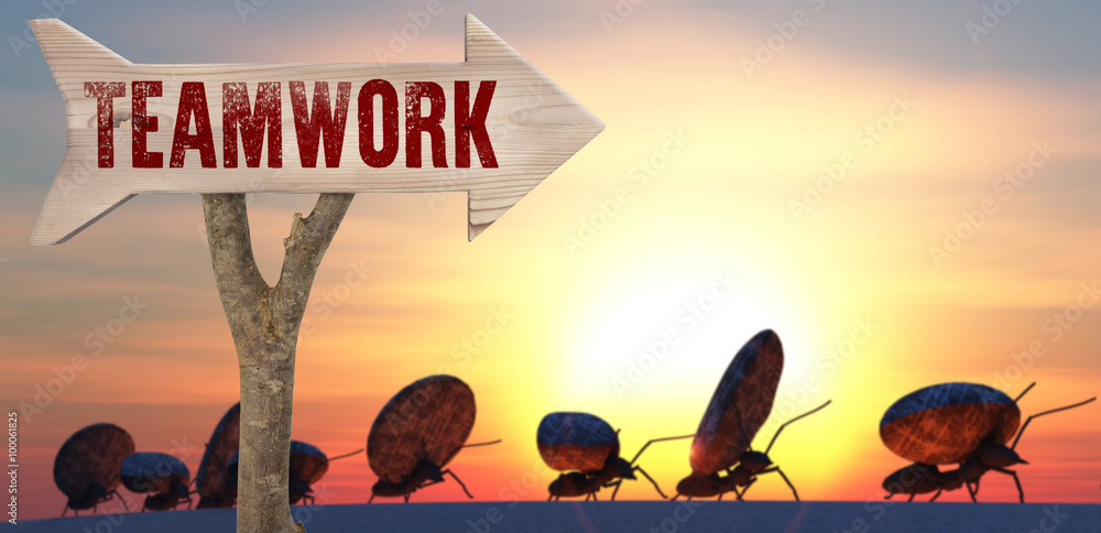wooden sign indicating to teamwork Stock Photo | Adobe Stock