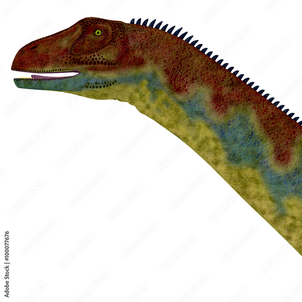 Jobaria Dinosaur Head - Jobaria was a herbivorous sauropod dinosaur ...
