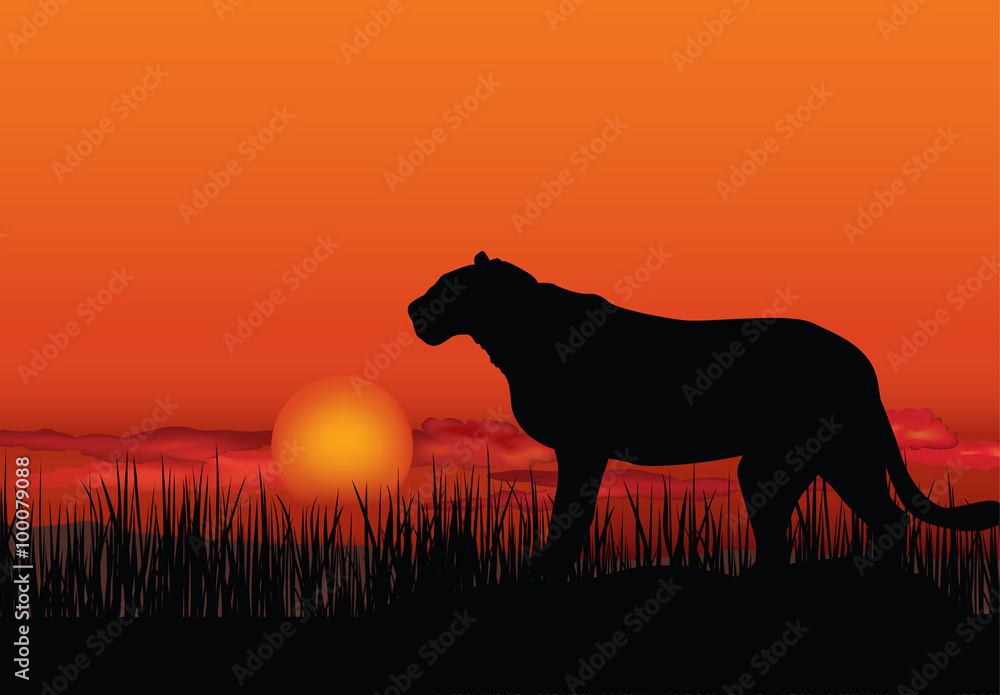 African Landscape Sunset With Animals