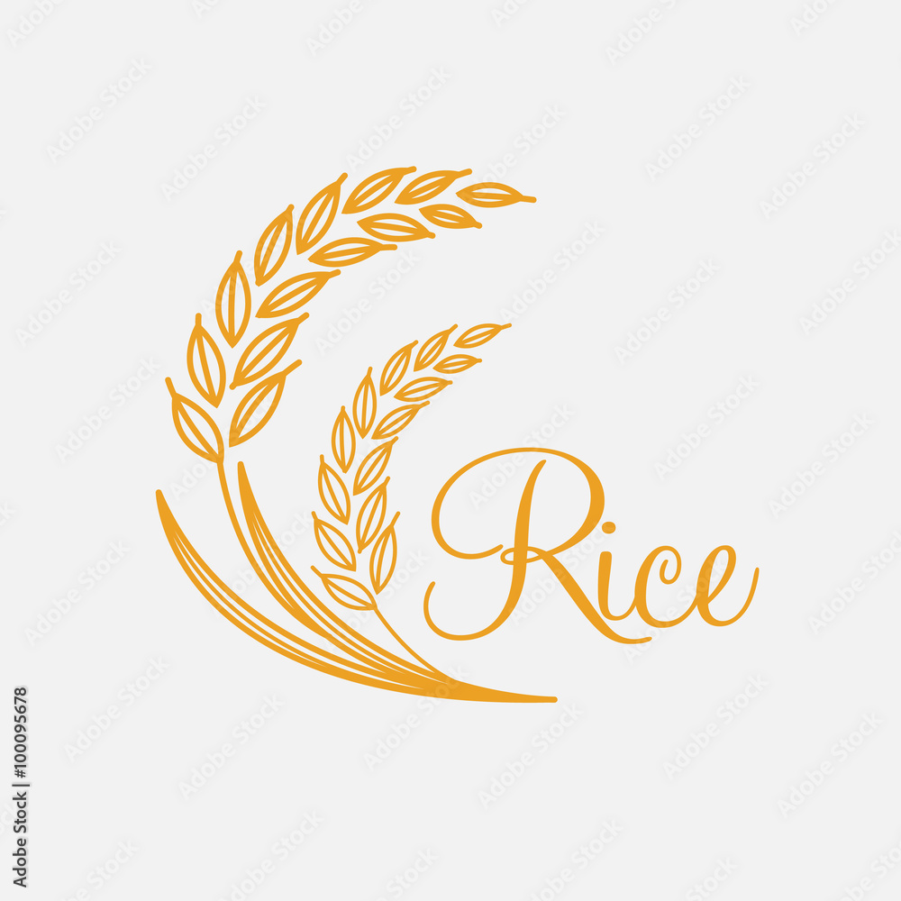rice vector Stock Vector | Adobe Stock