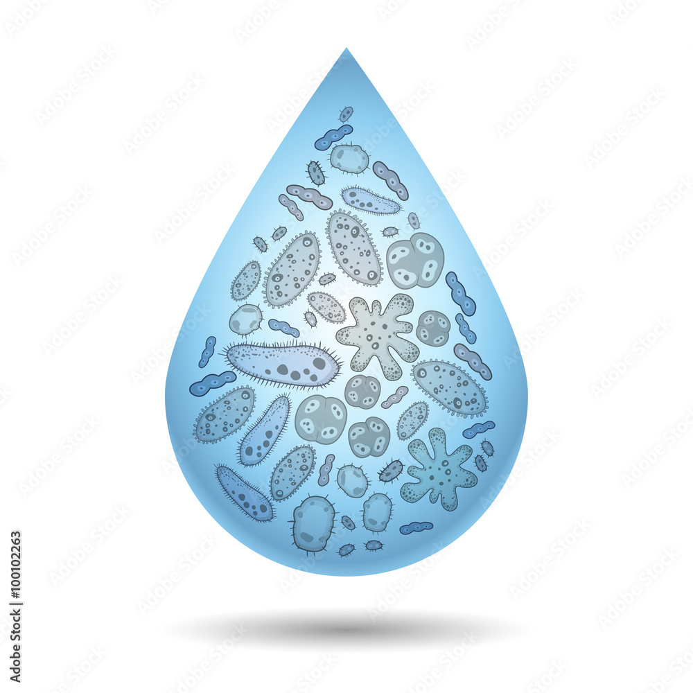 Microorganisms In Water