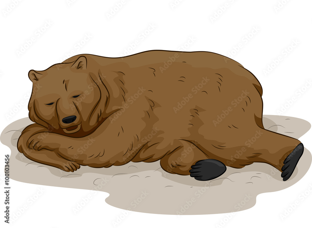 Hibernating Bear Clipart