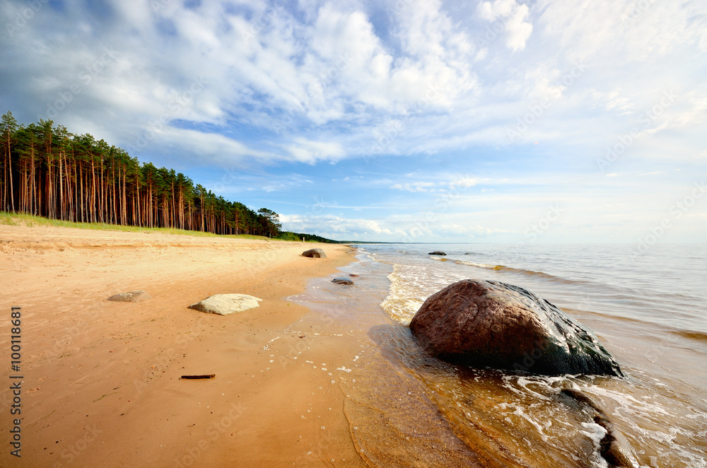 Baltic sea shore in Latvia Stock Photo | Adobe Stock