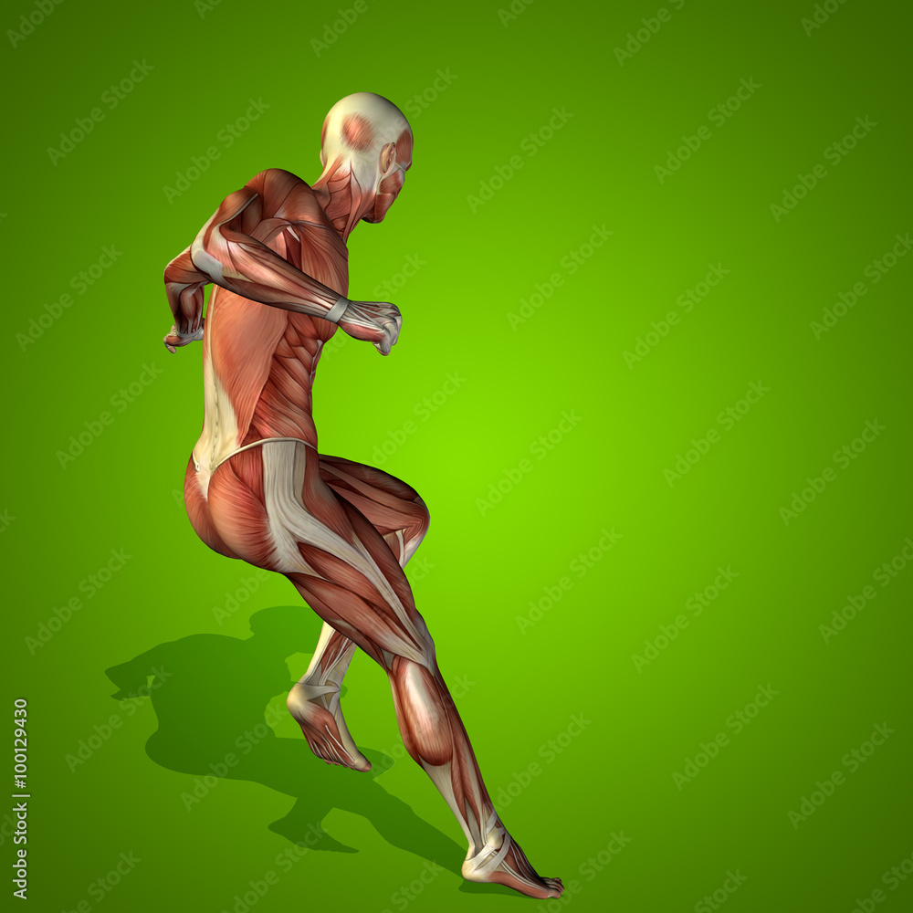 Conceptual 3D human man health anatomy Stock Illustration | Adobe Stock
