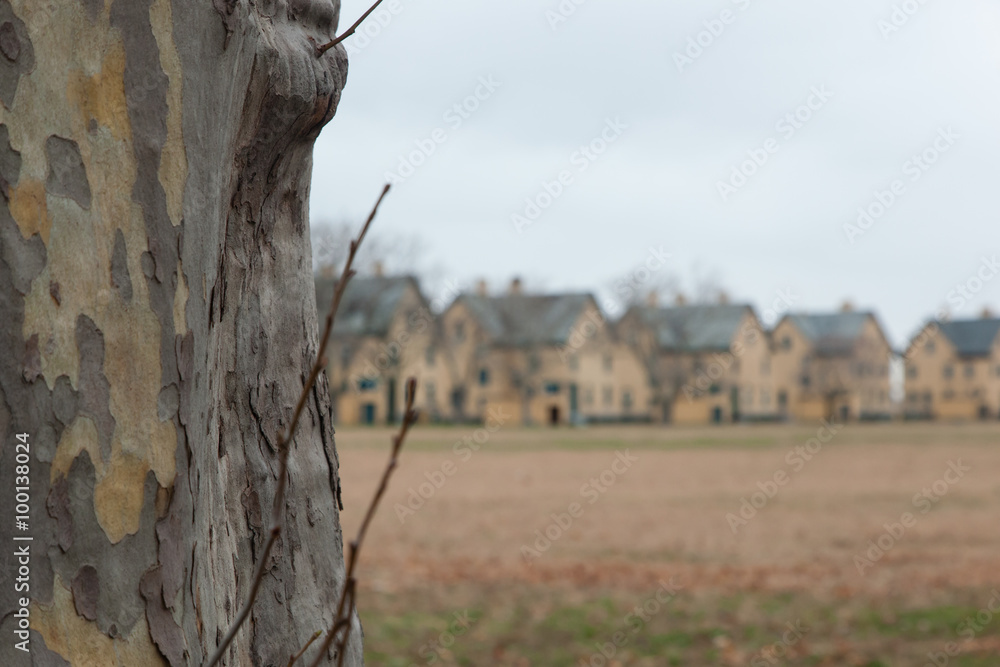 Details of historic building at military base; roof is caving in ...